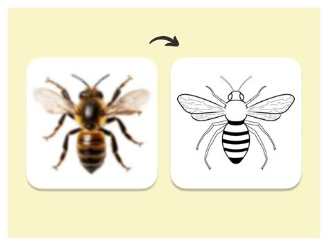expert vector tracing and conversion raster to vector vector tracing