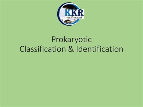 Prokaryotic And Eukaryotic Microbial Taxonomy Pdf