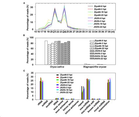 Analysis Of Small Rna Sequencing Data A Size Distribution Of Small