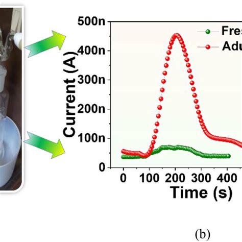 A Sensing Study With Fish Samples B Transient Response Curve For