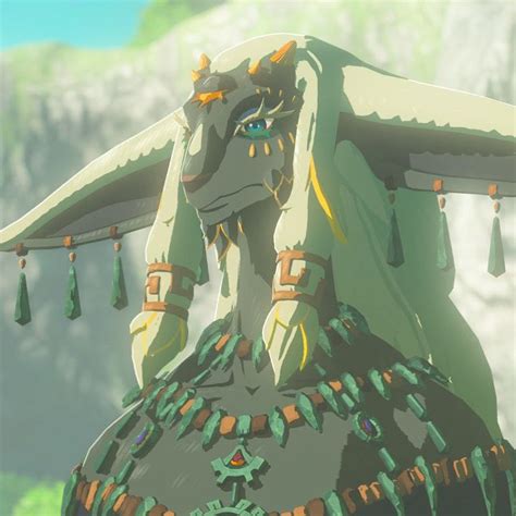 Legend Of Zelda Zelda Art Legend Of Zelda Memes