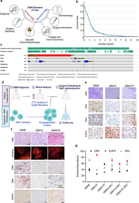 Richard John On Linkedin Target Receptor Identification And Subsequent Treatment Of Resected Brain