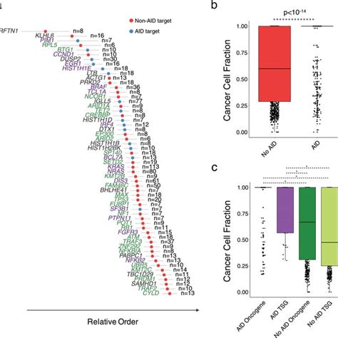 Order Of Acquisition Of Mutations In Driver Gene In Multiple Myeloma A Download Scientific
