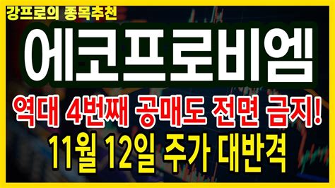 에코프로 에코프로비엠 주가전망 긴급대응 2500억 순매수 역대 4번째 공매도 전면금지 11월 12월 주가 대반격 Youtube