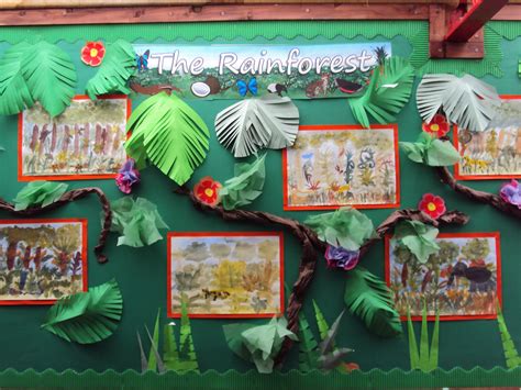 Year 3 Display Of Their Work On The Rainforests Of Brazil  3 648×2 736 Pixels Rainforest