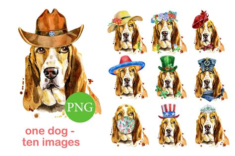 Portraits Of Basset Hound By Watercolor Fantasies Thehungryjpeg