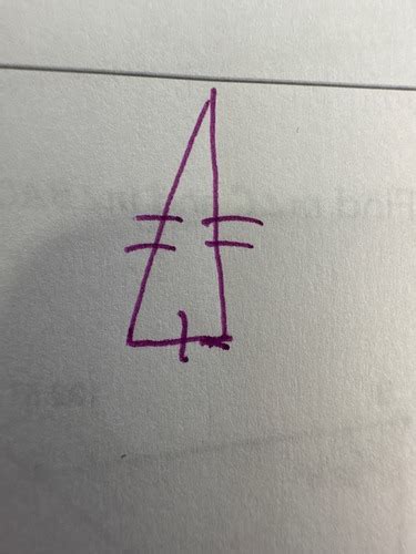 Triangle Flashcards Quizlet