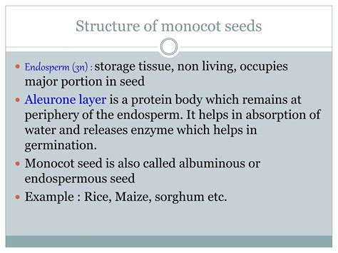 Types Of Flowers Fruits Dicot And Monocot Seeds Pptx