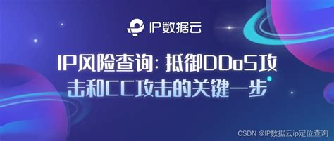 IP风险查询抵御DDoS攻击和CC攻击的关键一步