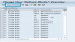 Custom Delivery Block Setup In SAP SD APPSeCONNECT