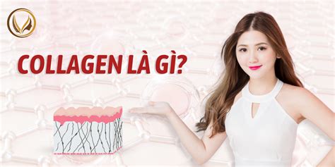Nh Gi Collagen D Ng B T C Ng D Ng V Hi U Qu Ch Ng L O H A