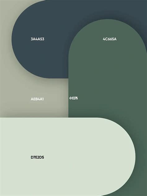 复古感拉满的7组高级色彩搭配→配色灵感 花瓣网