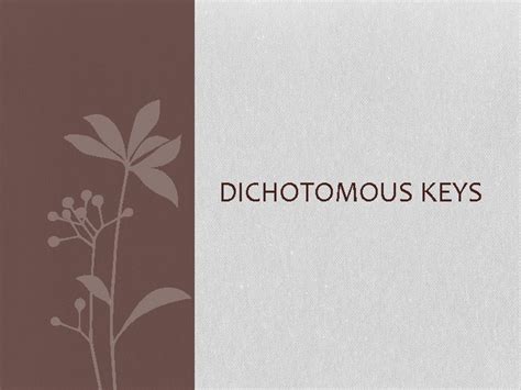 DICHOTOMOUS KEYS Introduction A Dichotomous Key Is A