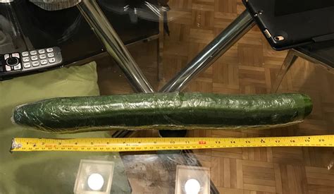 Long Boi 19 12 Inches Scrolller