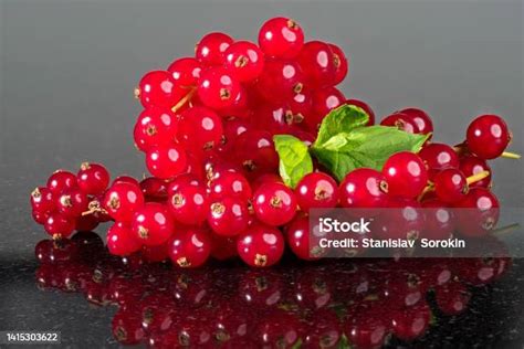 거울 배경에 빨간 건포도 열매와 박하 잎이 잔뜩 붙어 있습니다 건강한 식생활에 대한 스톡 사진 및 기타 이미지 건강한 식생활 과수원 과일 Istock