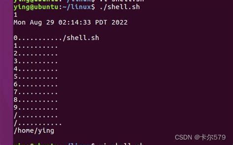 Shell（变量，控制语句，循环语句，if和case选择语句）linux操作系统实验报告shell变量、if、case、循环语句 Csdn博客