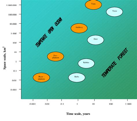Characteristic Spatial And Temporal Scales For Components Of