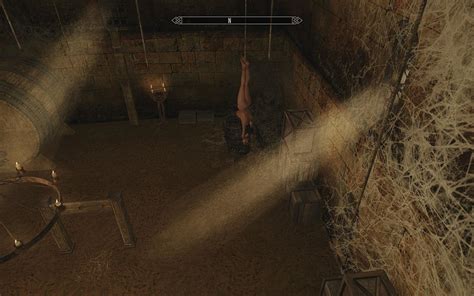 Zaz Animation Pack V80 Plus Page 91 Downloads Skyrim Adult And Sex