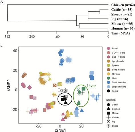 Overview Of Rna Seq Data Sets Download Scientific Diagram