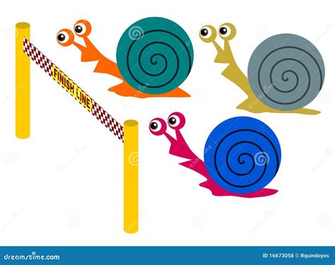 Snail Race Stock Vector Illustration Of Nature Move 16673058
