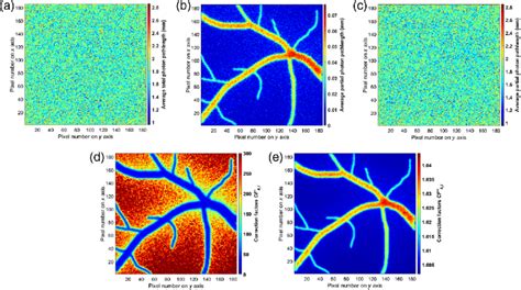 A Average Total Photon Pathlength Map At 835 Nm B Average Partial