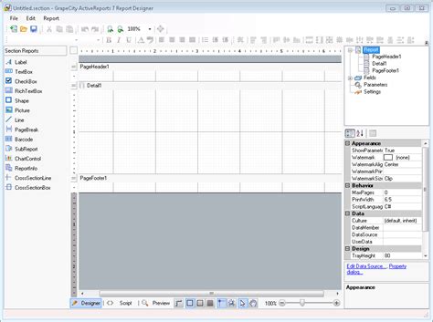 Activereports Designer