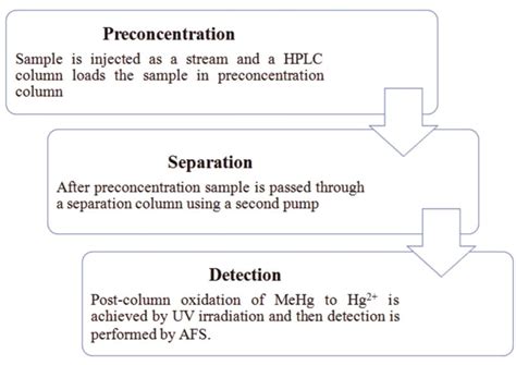 Figure 4 From A Review On Application Of Hyphenated Flow Injection System For Determination Of
