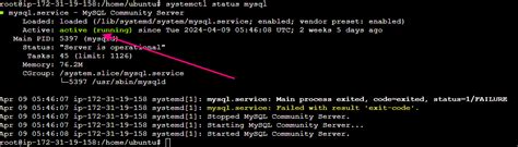 Aws Free Tier Wordpress Mysql Crash Solution Selftuts
