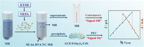 Dual Mode Photoelectrochemicalcolorimetric Biosensor With A Broad