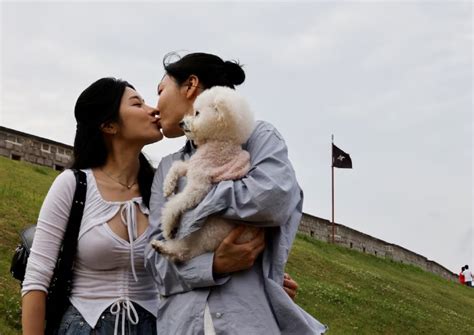 as south korea s population shrinks same sex couples say they can help