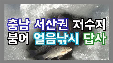 충남 서산권 붕어 얼음낚시 답사 Youtube