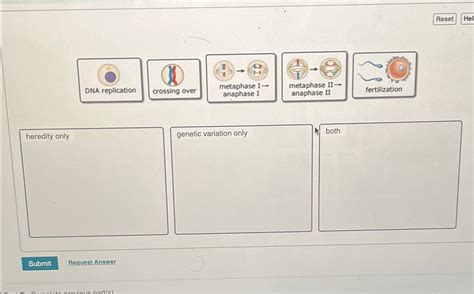 Solved DNA ReplicationRequest Answer Chegg