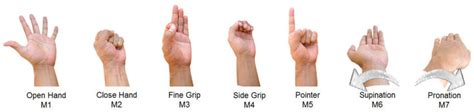 Movements Investigated Using Myoelectric Pattern Recognition