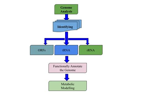Github Mahendra Wgseq Analysis Ngs Data Analysis For Wgs And Rnaseq