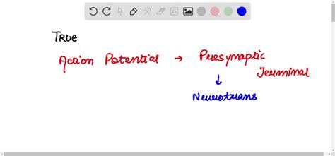 Solved The Following Are Characteristics Of The Sympathetic Division Characteristic Fight Or