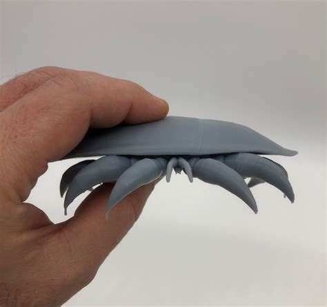 Varroa Mite Model For Demonstrations Meyer Bees