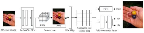 A Crop Image Segmentation And Extraction Algorithm Based On Mask Rcnn