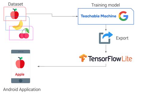 Build A Custom Image Classification Android App Using Teachable Machine