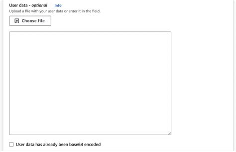 Cisco Cyber Vision For The AWS Cloud Installation Guide Release 4 3 0 Deploy The Cisco Cyber