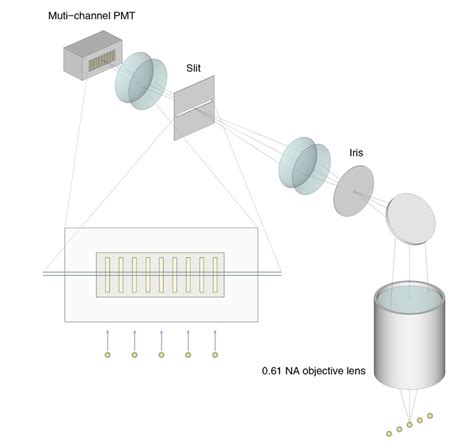 Imaging System For The Fluorescence Detection Of Individual Ion Qubit