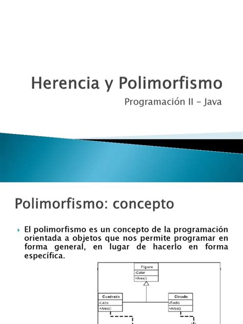 Herencia Y Polimorfismo Pdf Herencia Programación Orientada A Objetos Objeto Informática