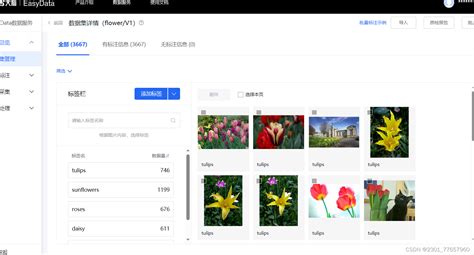 花朵图像分类图像分类 花分类 数据集 Csdn博客