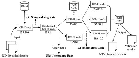Flowchart Of The Single Code Validation Sv In A Mapping Framework Download Scientific Diagram