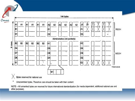sdh mapping and multiplexing