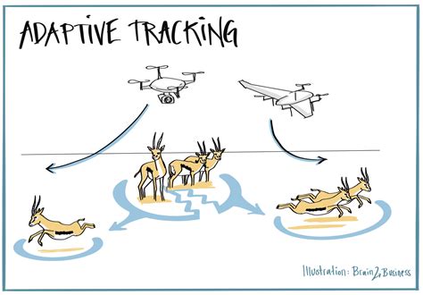 DC Adaptive Tracking WildDrone