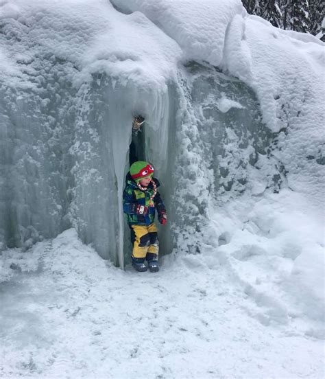 Pet Sitter My Jasper Nanny