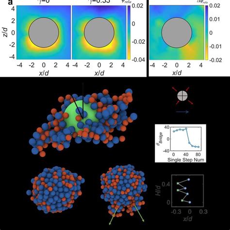arching effect and fluidization around tracer particles within one