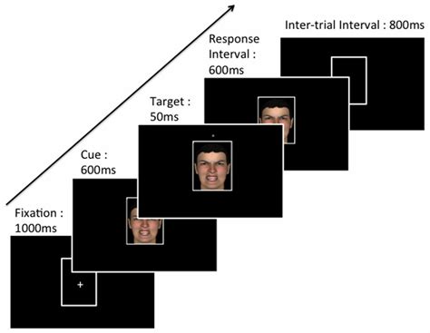 Sequence Of Events During The Task Doi 10 1371 Journal Pone 0075234 G001 Download Scientific
