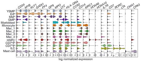 顶刊的堆叠小提琴图原来可以这样画20！aesdt