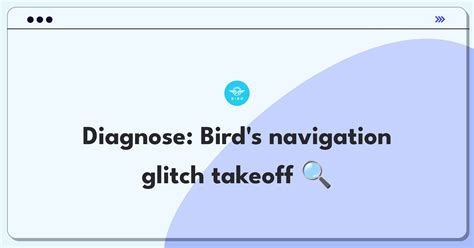 Bird Navigation Error Spike Product Rca Interview Nextsprints